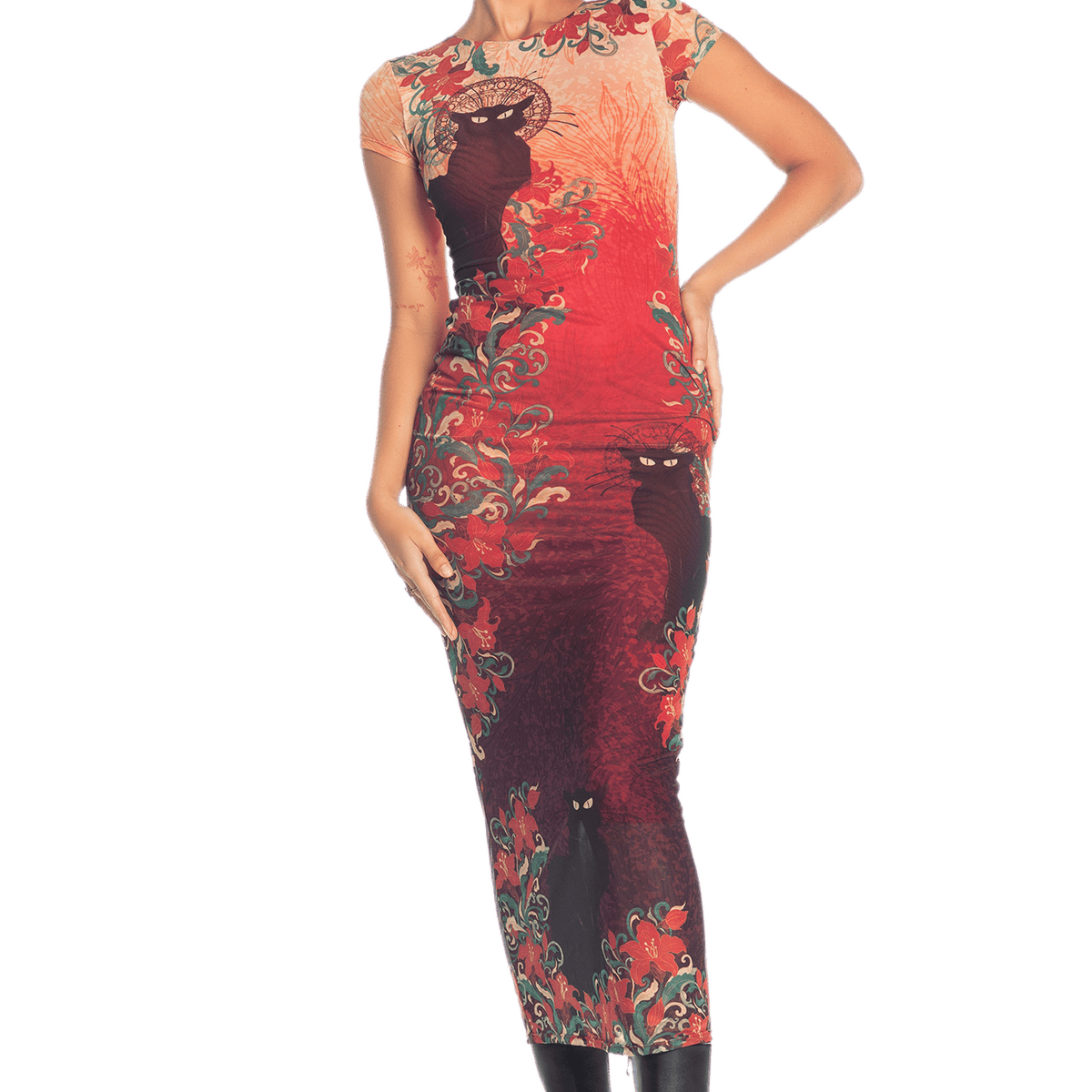 Le Chat Noir Sheer Cap Sleeve Bodycon Dress – BlackMilk Clothing