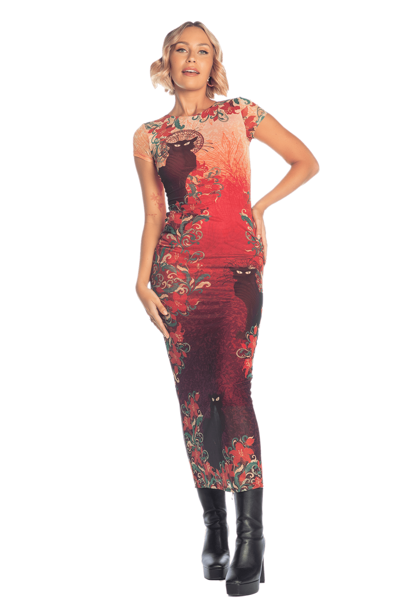 Le Chat Noir Sheer Cap Sleeve Bodycon Dress – BlackMilk Clothing